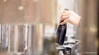 Burghound - Allen Meadows - Vintage 2023 - Domaine Drouhin-Laroze